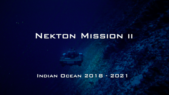 Nekton | Homepage
